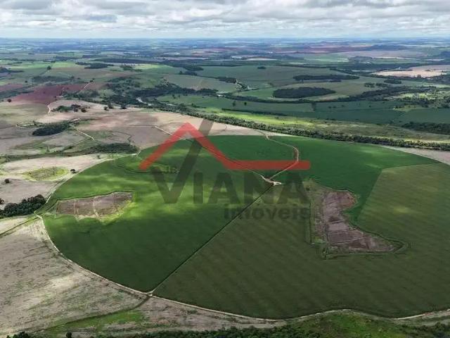 Fazenda para Venda em Paranapanema/SP Área Rural de Paranapanema