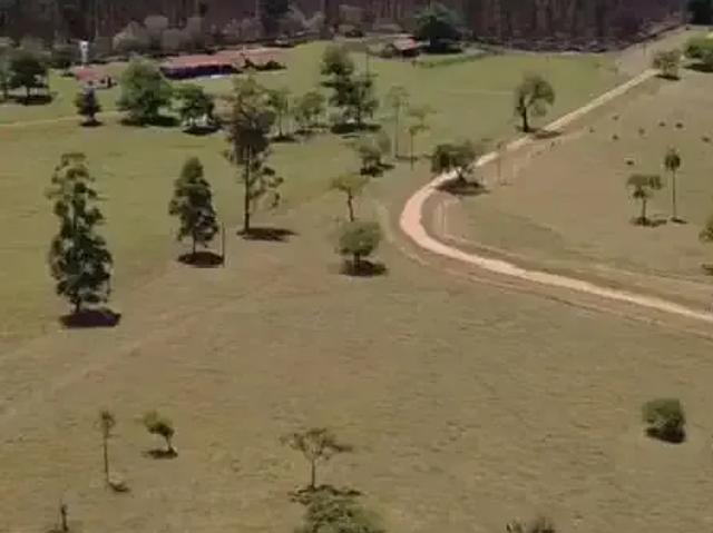 Fazenda para Venda em Paranapanema/SP Área Rural de Paranapanema 1 Quartos