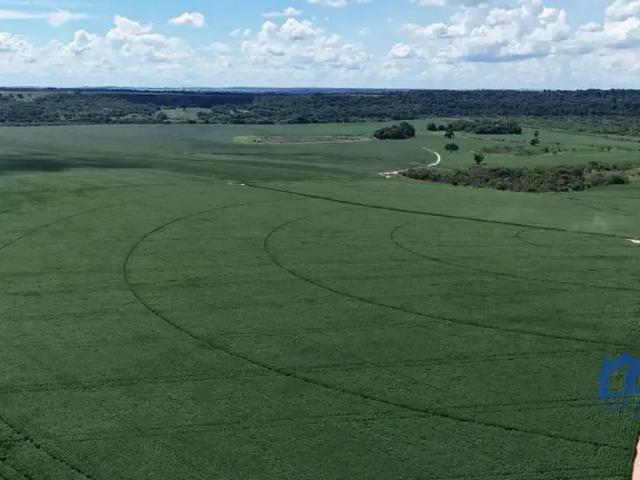 Fazenda para Venda em Paranapanema/SP Zona Rural 1 Quartos