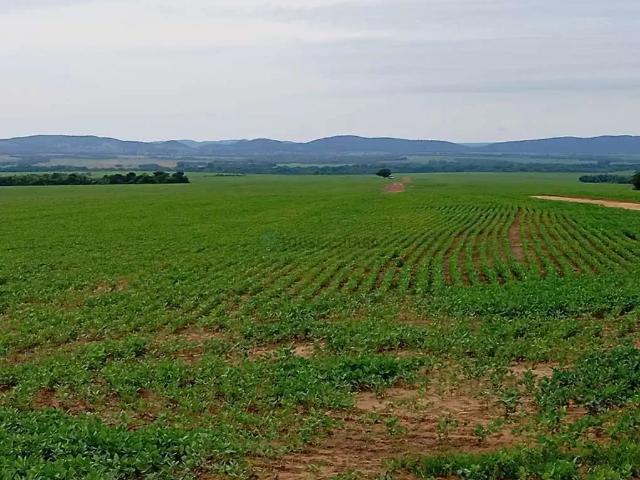 Fazenda para Venda em Paranatinga/MT Zona Rural 3 Quartos