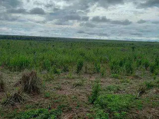 Fazenda para Venda em Paranatinga/MT Zona Rural 5 Quartos