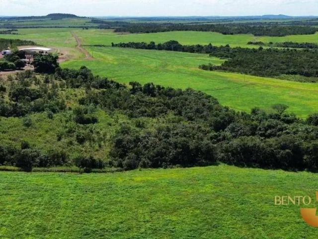 Fazenda para Venda em Paranatinga/MT Novo Horizonte