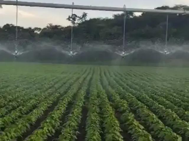 Fazenda para Venda em Paraopeba/MG Zona Rural