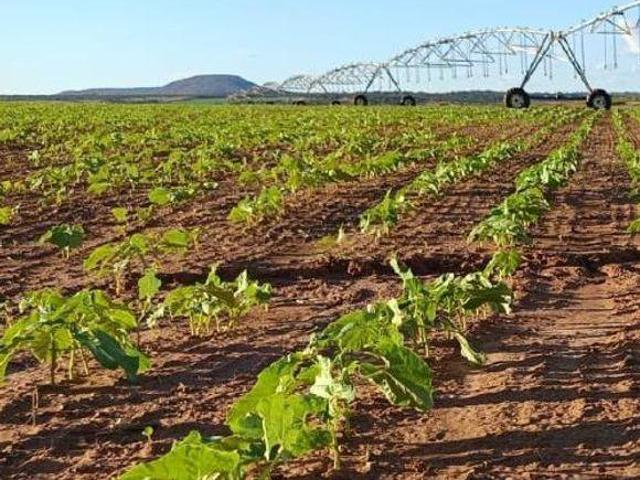 Fazenda para Venda em Paracatu