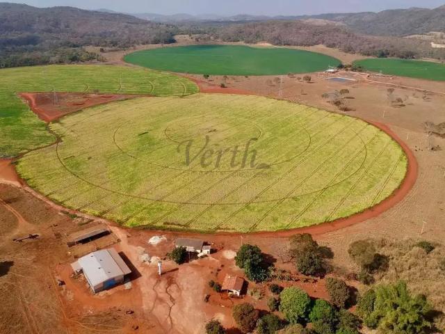 Fazenda para Venda em Paracatu/MG Flamboyant 5 Quartos