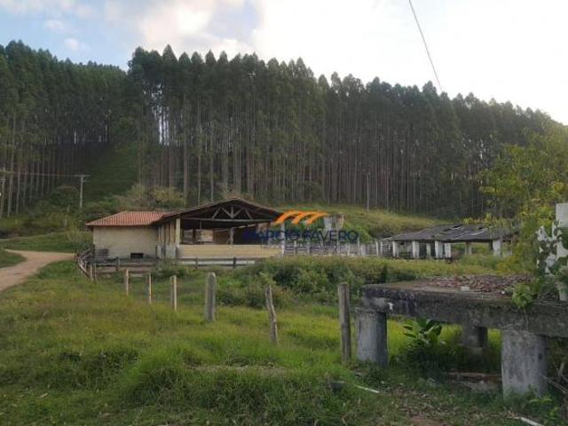 Fazenda para venda em Paraibuna