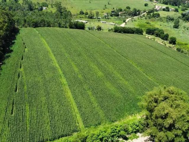 Fazenda para Venda em Paraibuna/SP Centro
