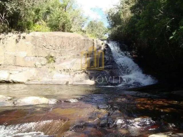 Fazenda para Venda em Paraibuna/SP Bairro do Cedro 4 Quartos