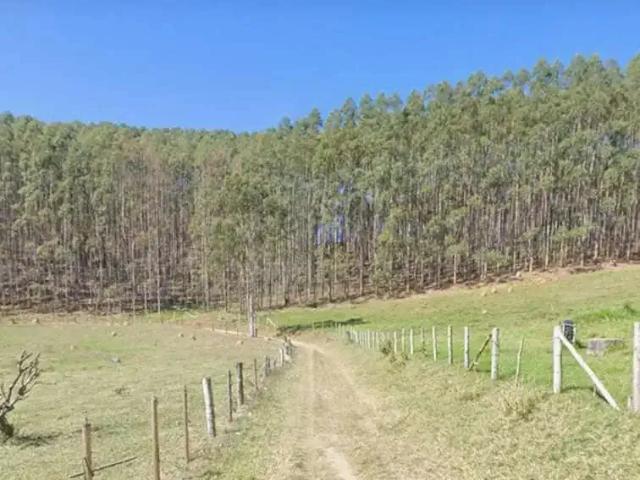 Fazenda para Venda em Paraibuna/SP Zona Rural 1 Quartos