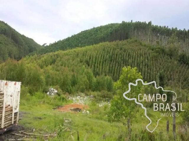 Fazenda para Venda em Paraibuna/SP Zona Rural