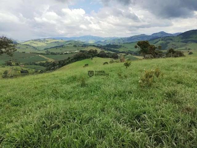 Fazenda para Venda em Paraisópolis/MG Zona Rural 1 Quartos