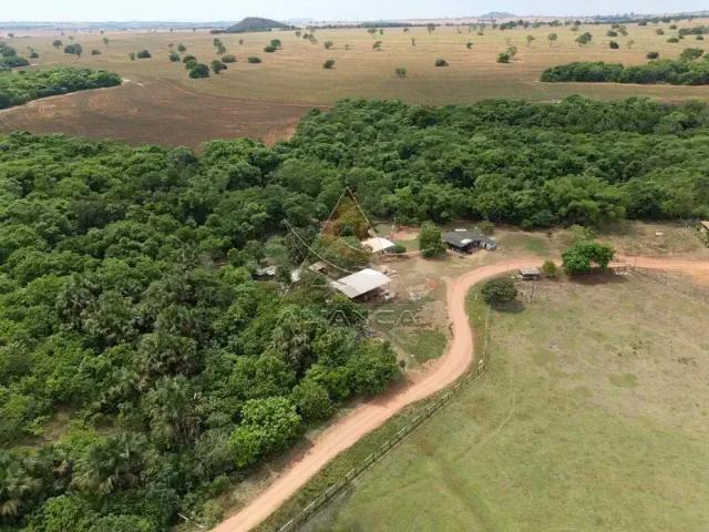 Fazenda para Venda em Paraúna/GO Zona Rural 10 Quartos
