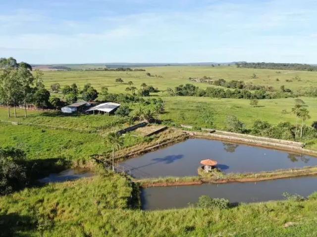 Fazenda para Venda em Paraúna/GO Zona Rural