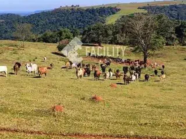 Fazenda para Venda em Pardinho/SP Centro 1 Quartos