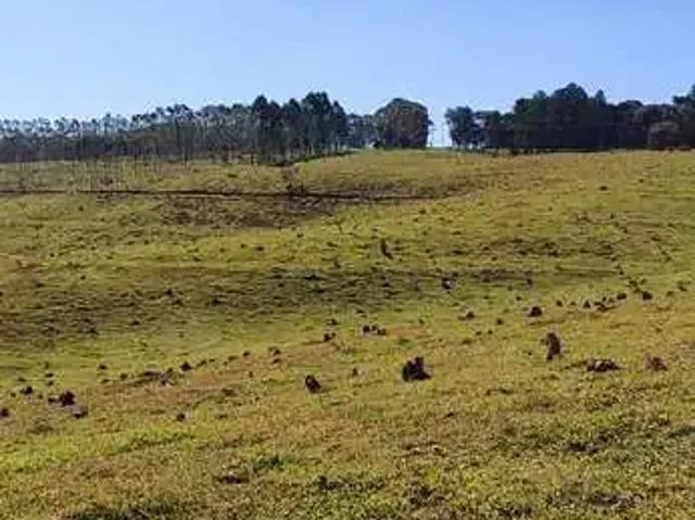 Fazenda para Venda em Pardinho/SP Centro