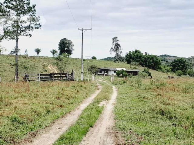 Fazenda para Venda em Pariquera Açu/SP Zona Rural