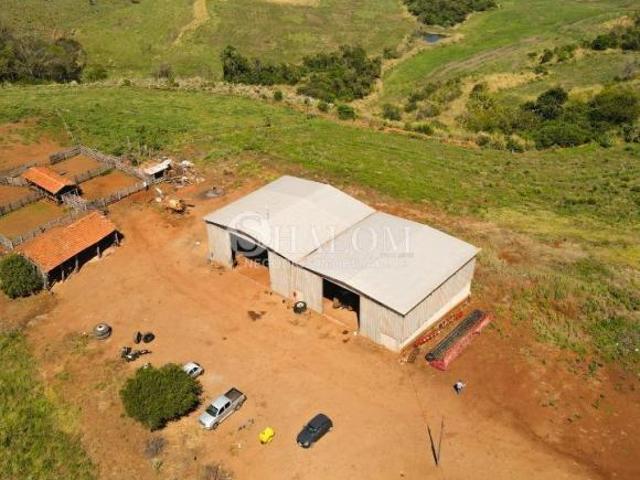 Fazenda para venda em Parque Industrial Zona Oeste, Apucaran