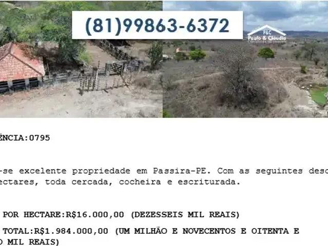 Fazenda para Venda em Passira/PE Zona Rural