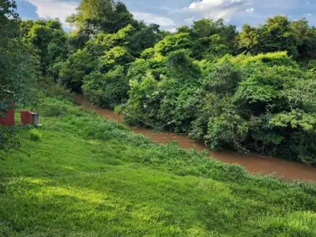 Fazenda para Venda em Pederneiras/SP Guaianás 7 Quartos