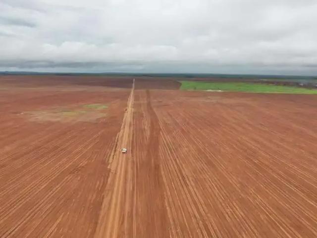 Fazenda para Venda em Pedro Afonso/TO Zona Rural
