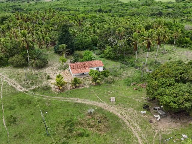 Fazenda para Venda em Pedro Velho/RN Cuité