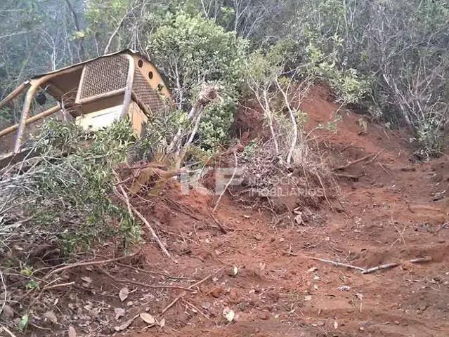 Fazenda para Venda em Pedra Azul/MG Centro 3 Quartos