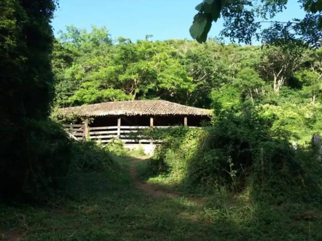 Fazenda para Venda em Pedra Azul/MG Zona Rural