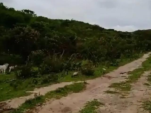 Fazenda para Venda em Pedra Azul/MG Zona Rural