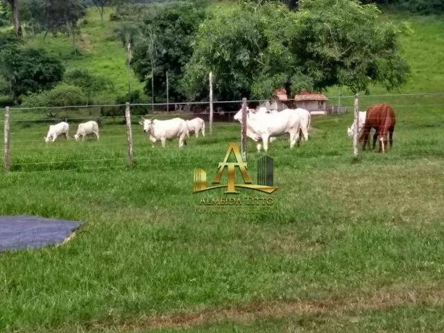 Fazenda para Venda em Pedra Preta/MT Zona Rural 2 Quartos