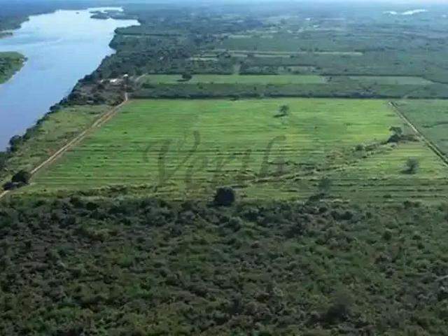 Fazenda para Venda em Pedras de Maria da Cruz/MG Centro 10 Quartos