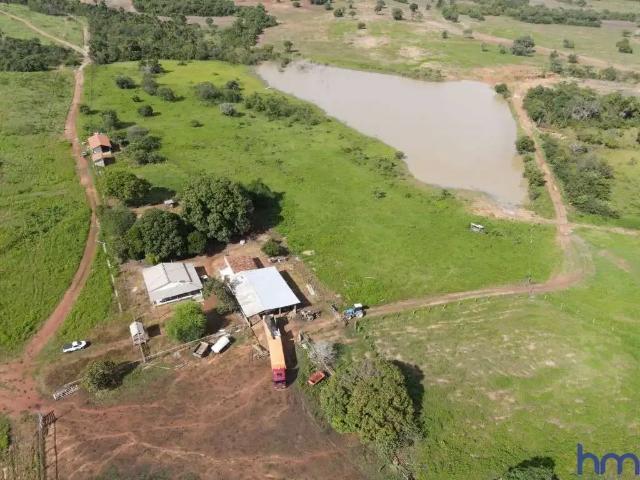 Fazenda para Venda em Peixe/TO Zona Rural