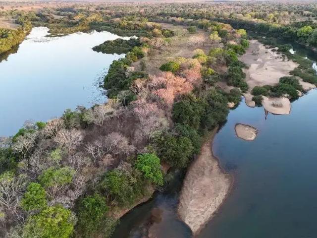 Fazenda para Venda em Peixe/TO Zona Rural