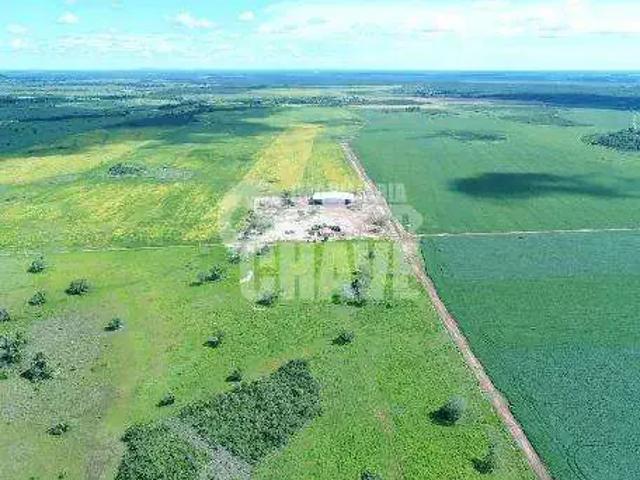 Fazenda para Venda em Peixe/TO Zona Rural