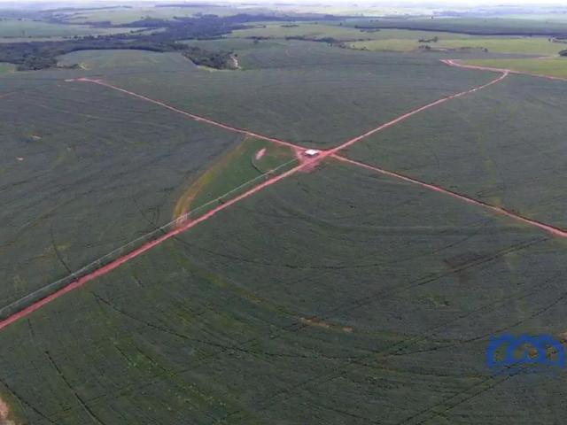 Fazenda para Venda em Penápolis/SP Área Rural de Penápolis 1 Quartos