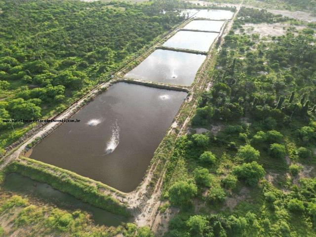 Fazenda para Venda em Pendências/RN Zona Rural