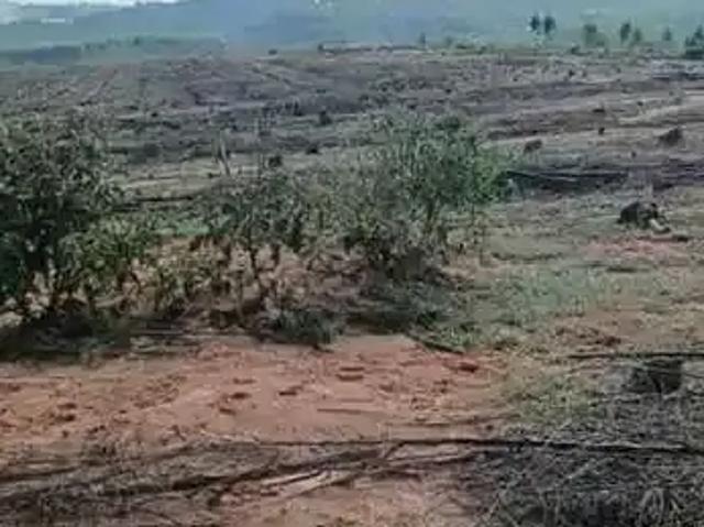Fazenda para Venda em Perdões/MG Centro