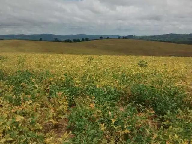 Fazenda para Venda em Perdões/MG Centro