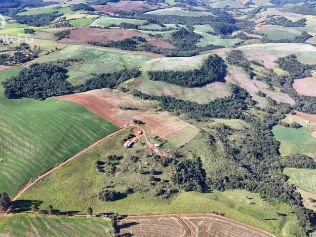 Fazenda para Venda em Pitanga/PR Zona Rural