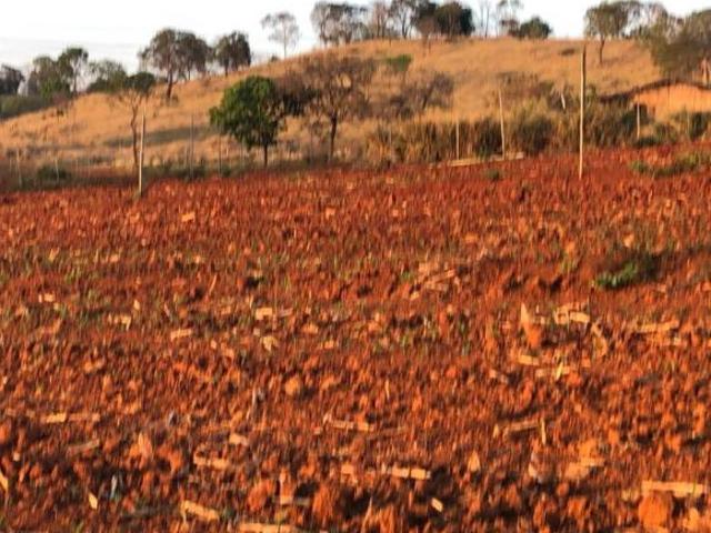 Fazenda para venda em Pitangui