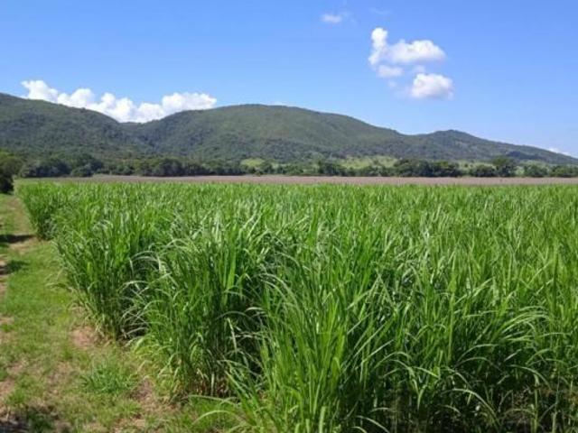 Fazenda para venda em Pitangui