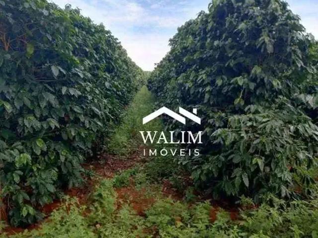 Fazenda para Venda em Piumhi/MG Zona Rural 4 Quartos