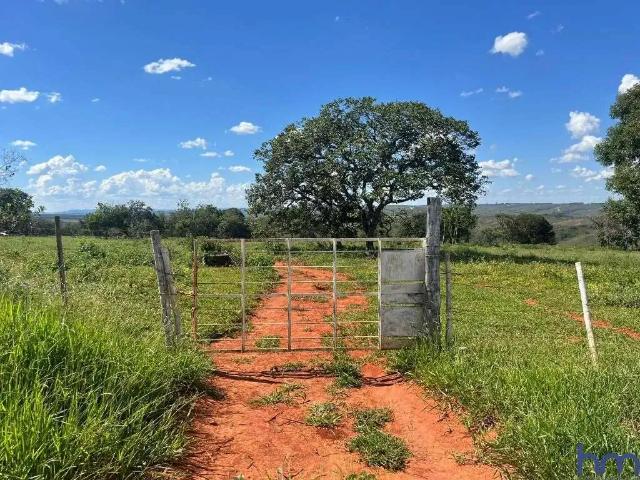 Fazenda para Venda em Piumhi/MG Zona Rural