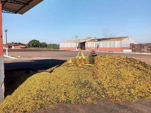 Fazenda para Venda em Piumhi/MG Zona Rural 1 Quartos