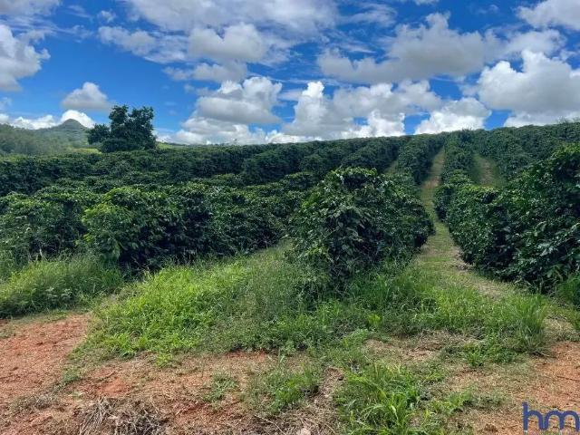 Fazenda para Venda em Piumhi/MG Zona Rural