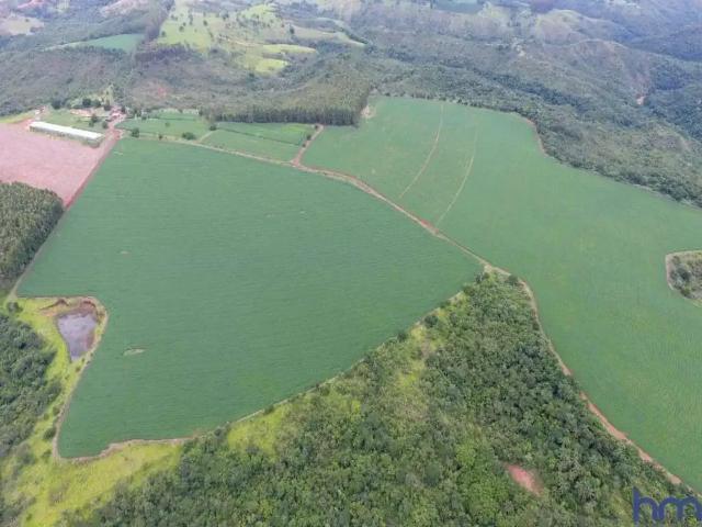 Fazenda para Venda em Piumhi/MG Zona Rural