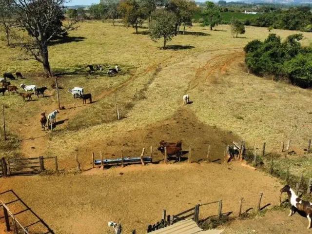 Fazenda para Venda em Piumhi/MG Zona Rural