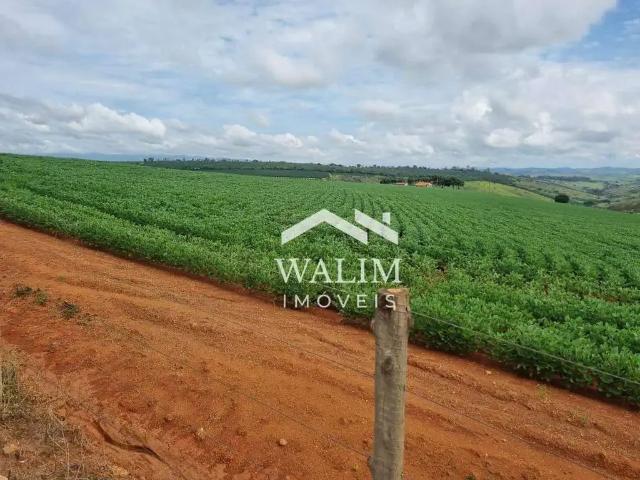 Fazenda para Venda em Piumhi/MG Zona Rural 3 Quartos