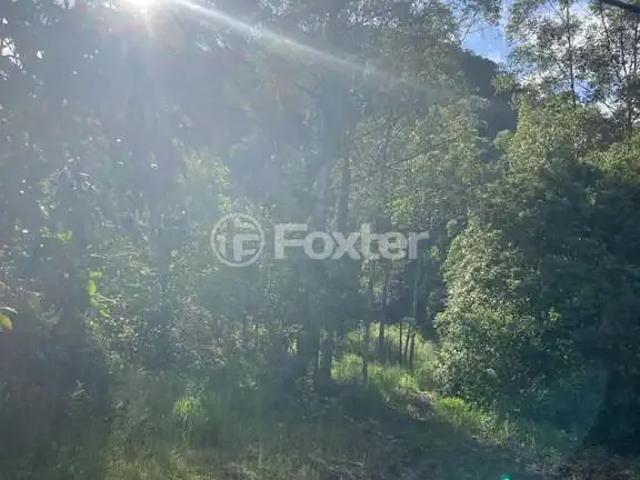 Fazenda para Venda em Picada Café/RS Jammerthal 5 Quartos