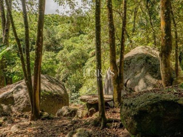Fazenda para venda em Piedade
