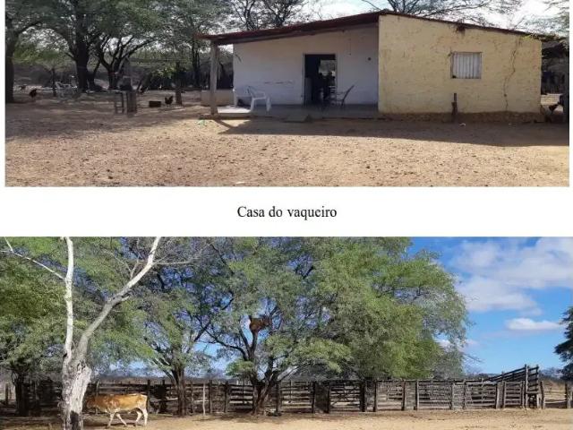 Fazenda para Venda em Pilão Arcado/BA Zona Rural